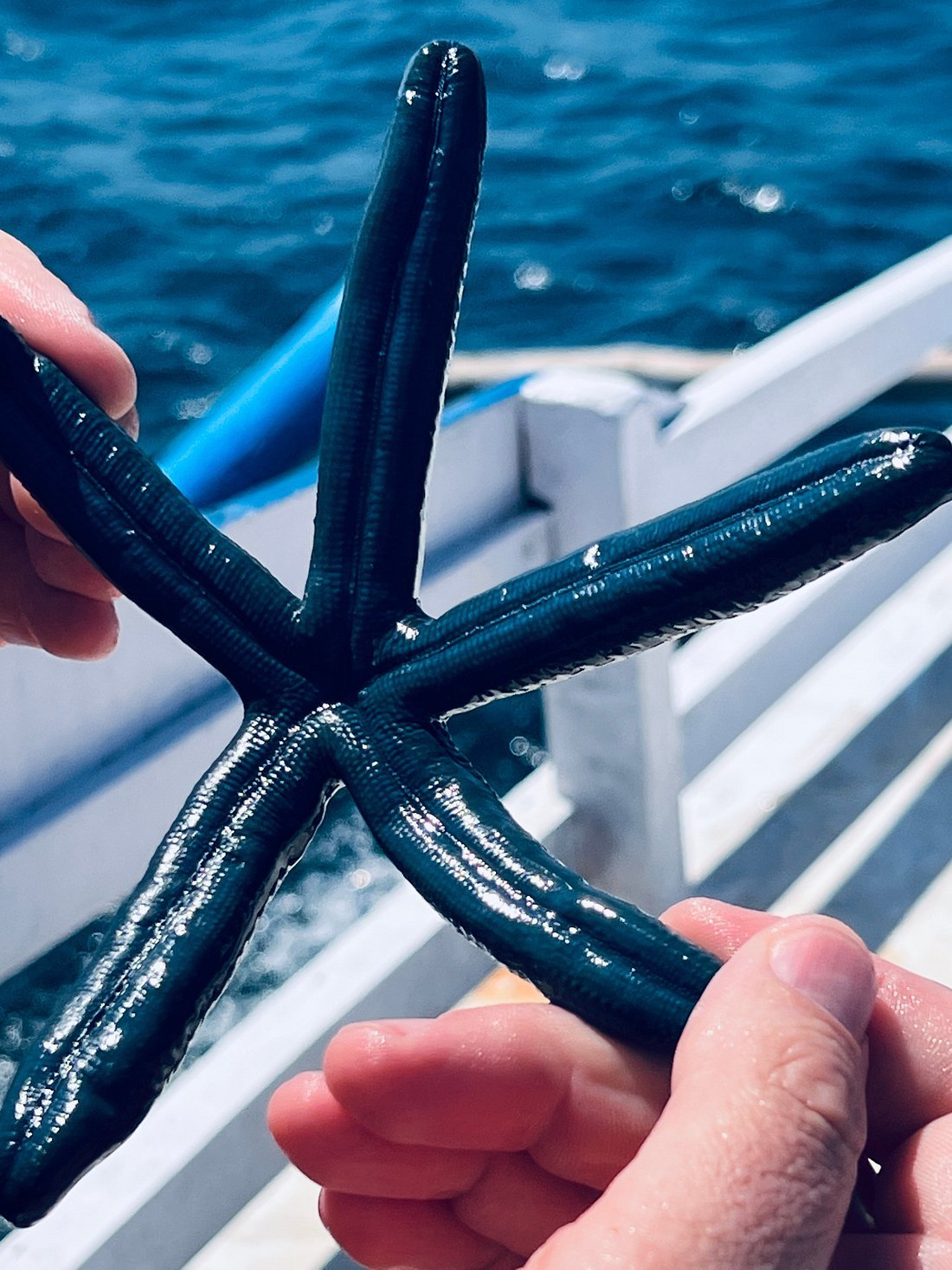 The Enchantment of Gili Pasir - Bale Laut Lombok